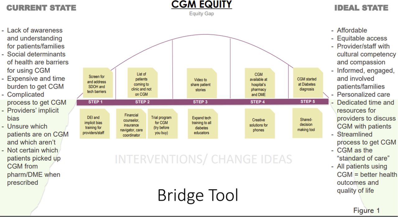 1 Bridging health equity gaps: strategies for transformative change ...