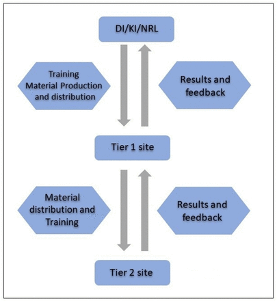 Piloting an external quality assurance program (QAP) for COVID-19 ...