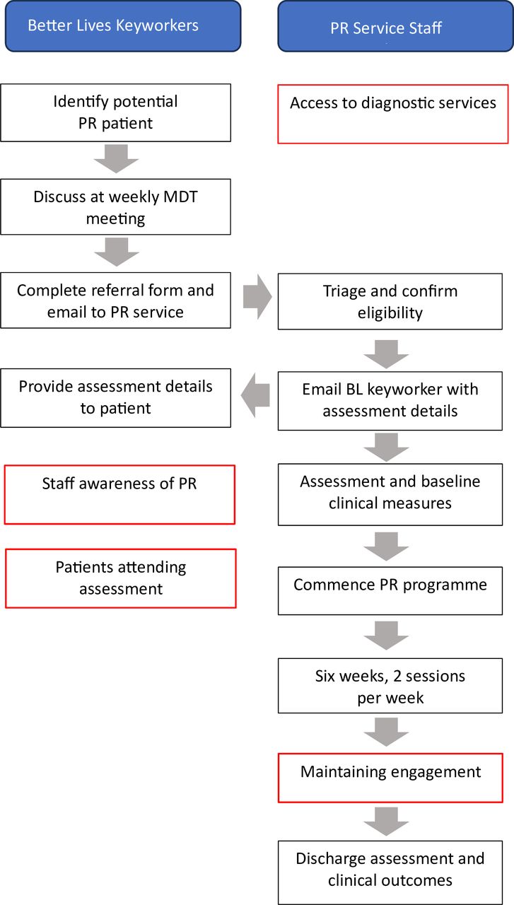 Improving access to pulmonary rehabilitation for patients with COPD ...