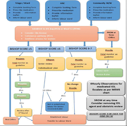 Improving the quality of induction of labour in maternity services ...